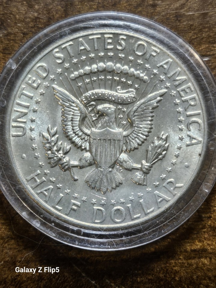 1966 Kennedy Colorized Half JFK 50C United States Coin! Own silver ...