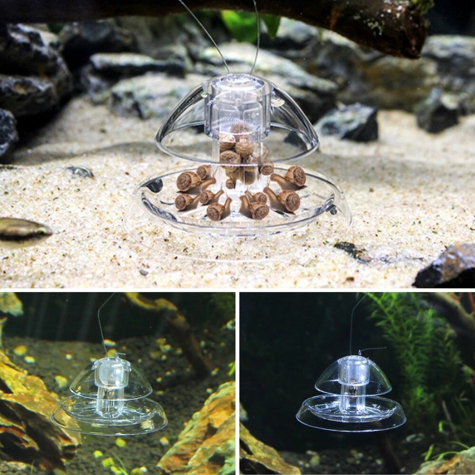 Snail Trap Catcher Planarian Catcher Fish Tank Cleaner Tools Pest Catch ...