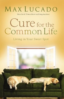 Cure for the Common Life: Living in Your Sweet Spot - Paperback - VERY ...