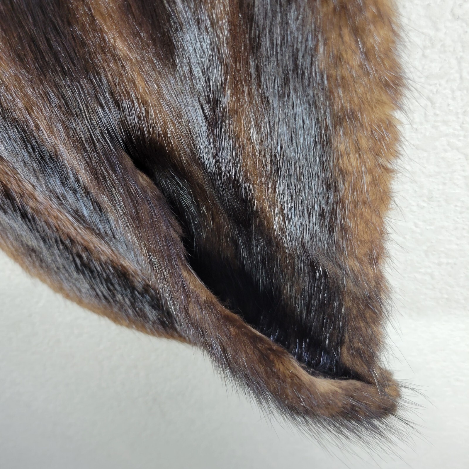 Vtg '40s Long Haired Beaver Fur Stole Fur Eveningwear… - Gem