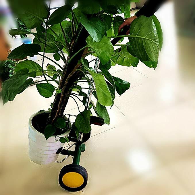 Potted Plant Caddy Dolly Mover Roller Rolling Trolley Move Heavy Pots ...