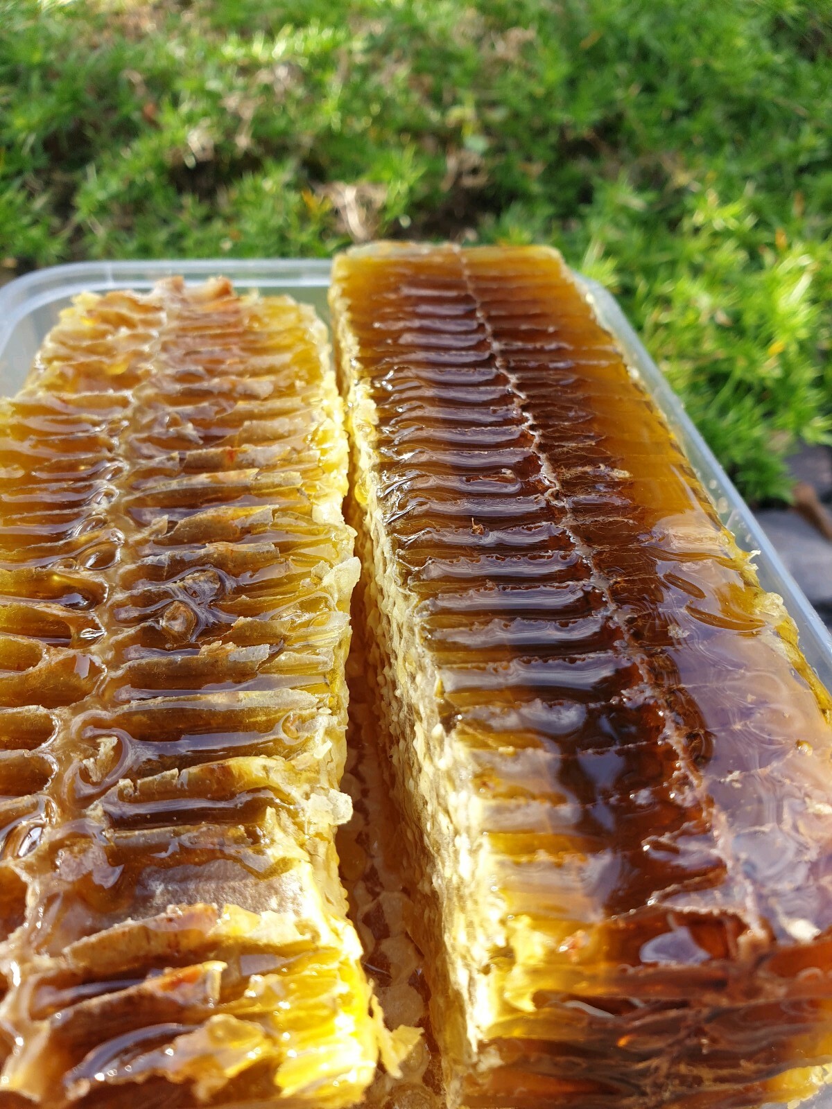 Raw Honeycomb 1000 Grams/ box , 2025 New Harvest Organic Honeycomb ...