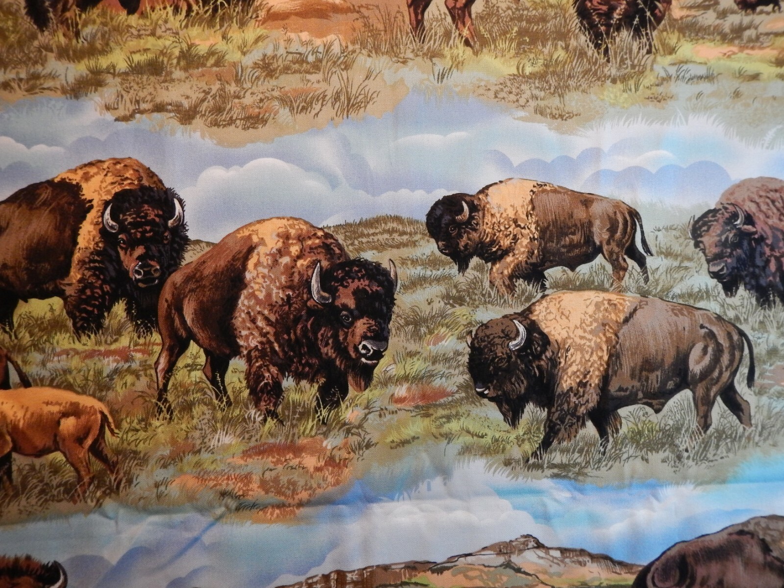 Northern Journey (Bison) Quilt Kit by Adrienna Yorinks - ~11 yards ...