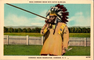 Postcard Cherokee Indian with Native Blow-Gun Cherokee NC North ...