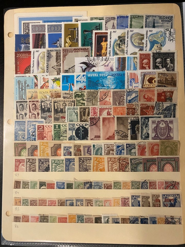 Worldwide Russia Stamp Collection in 2 Stock Pages - M&U 1396 | eBay