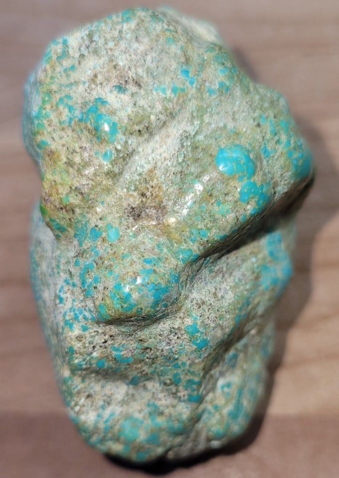 Rare Hard 192 gram Pilot Mtn. NV Big Turquoise Pseudomorph Clam ...