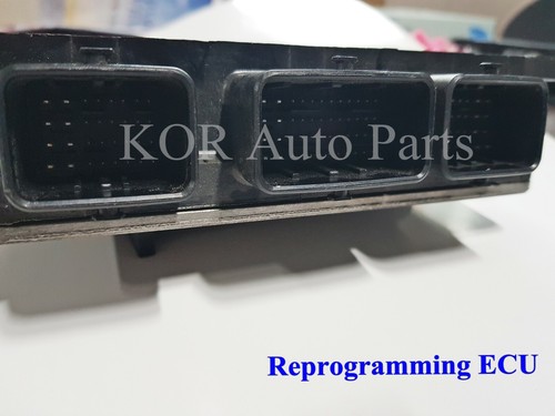 KIA CARNIVAL/SEDONA 07-14 Engine control Module ECU DDCR 39101-4X880 | eBay