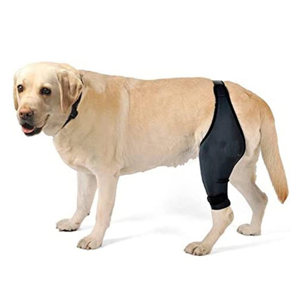 Dogs Dog Knee Protector Dog Leg Cover Dog Knee Cover Knee For Dogs ...