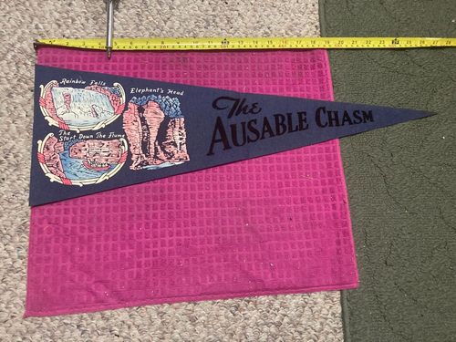VTG New York Ausable Chasm Pennant ELEPHANT'S HEAD RAINBOW FALLS Flume ...