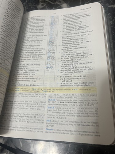 HCSB Study Bible Holman Christian Standard Bible Black Gray Leather ...