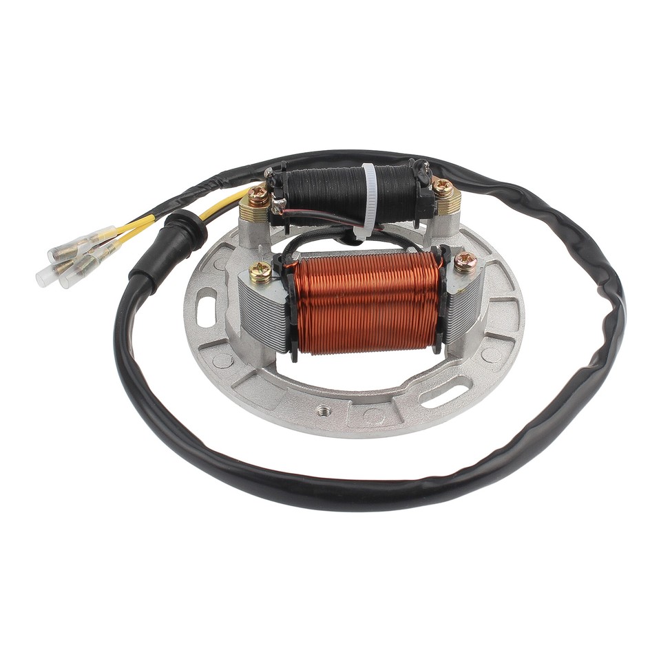CDI Stator For Suzuki LT80 LT-80 QUAD SPORT 2000 2001 2002-2006 ATV | eBay