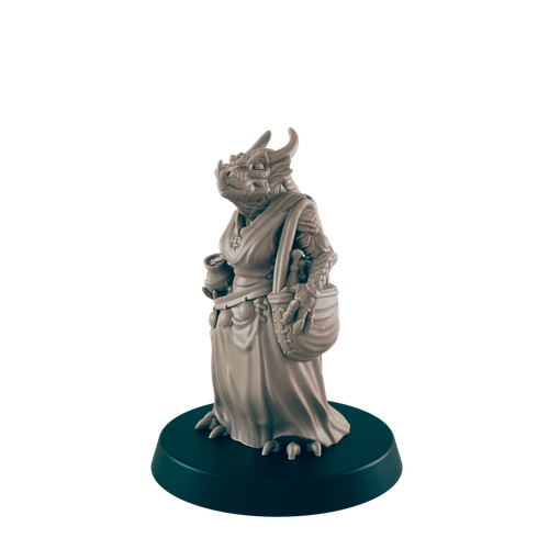 Dragonborn Mini | Market Patron Shopper | Female Townsfolk NPC Figure ...
