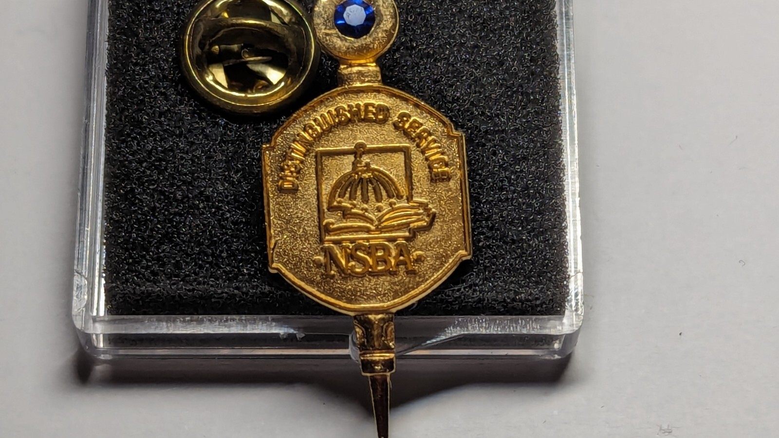 NSBA DISTINGUISHED SERVICE NSBA AWARD PIN PINBACK | eBay
