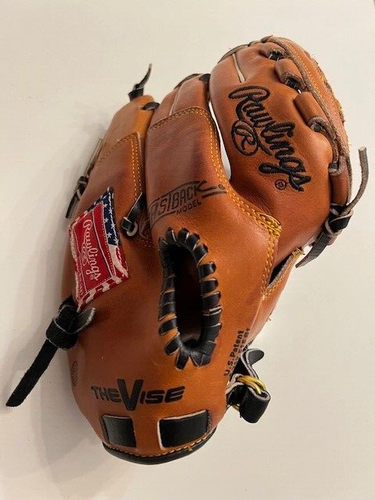 Rawlings "The Vise" 12-inch Baseball Glove | eBay