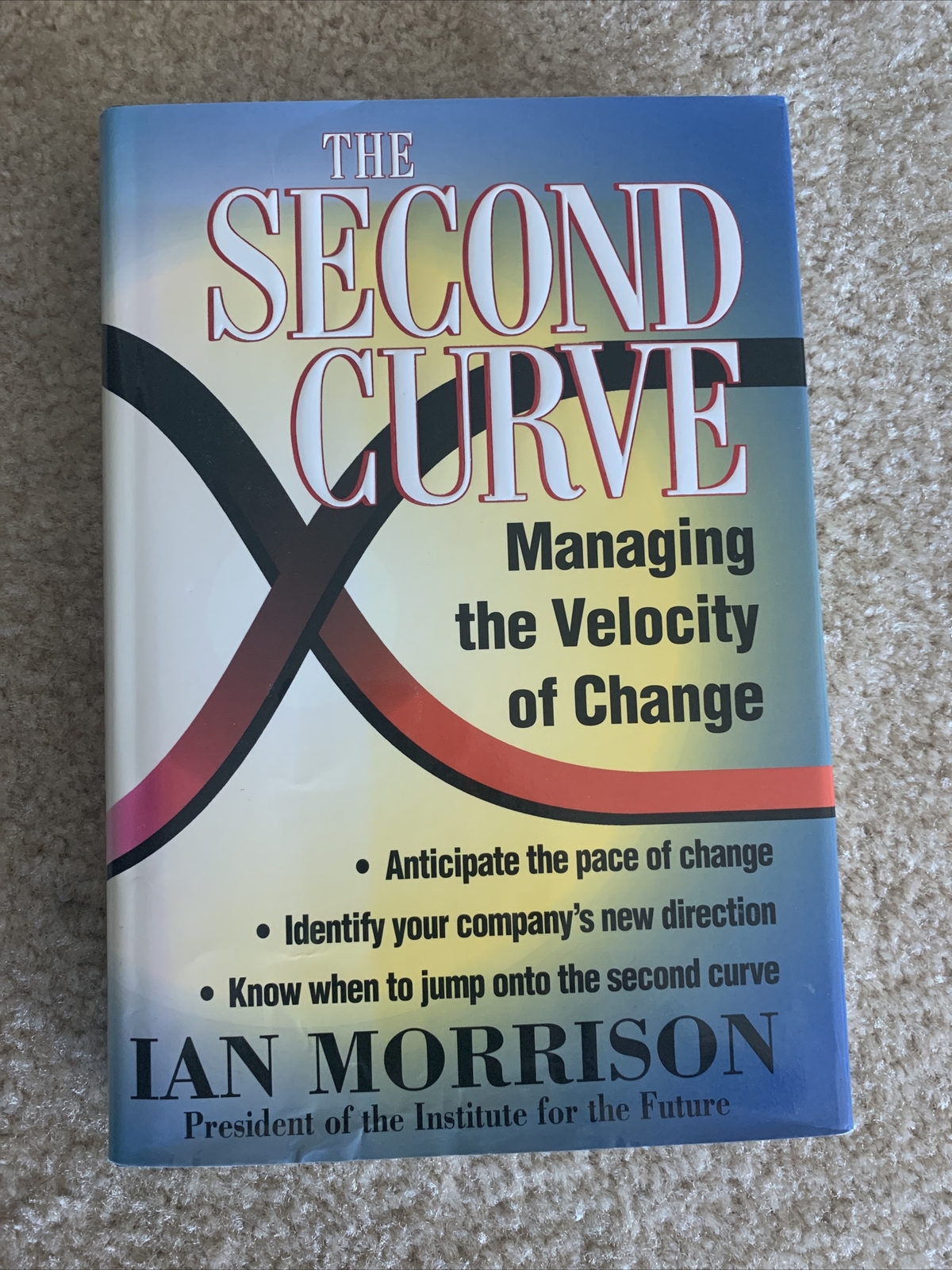 The Second Curve : Managing the Velocity of Change by G. Schmid and Ian ...