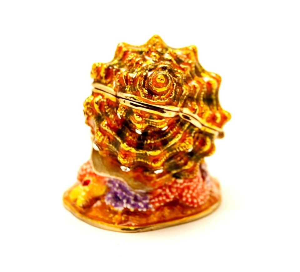 Ciel Collectables Conch Shell Trinket Box. Hand Made with Swarovski ...