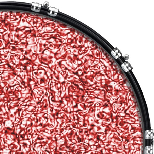 20" Custom Bass Kick Drum Front Head Skin Graphical Cells Red | eBay