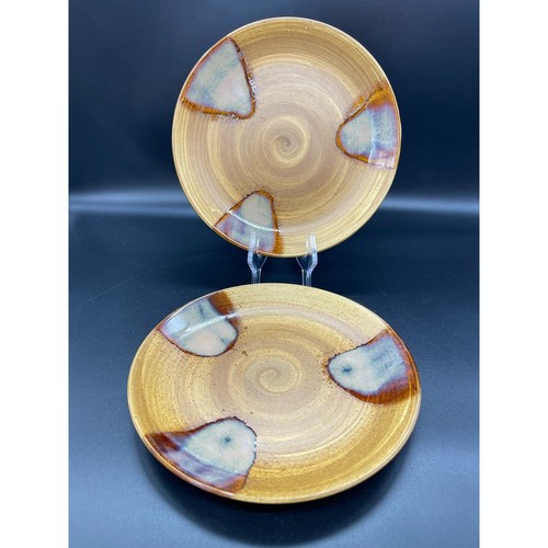 Sango Splash 4951 Set of 2 Salad Plates | eBay