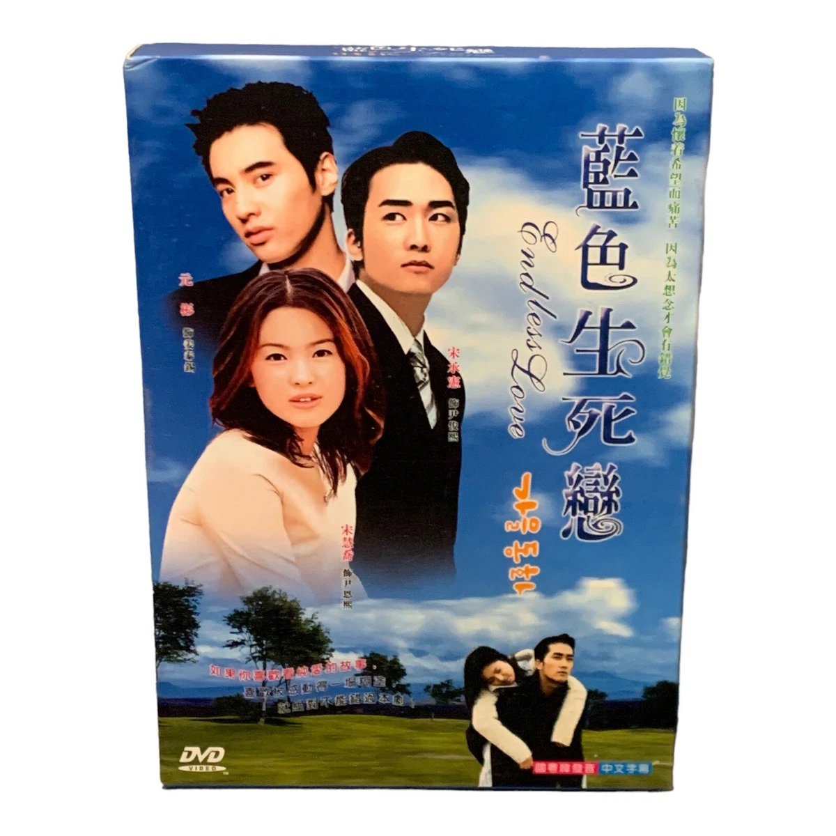 Endless Love Korean Poster