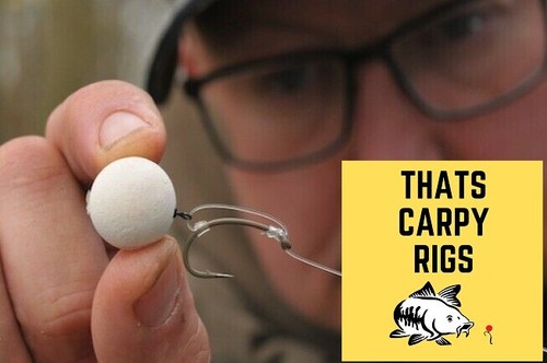 10 x Danny Fairbrass - Korda Style - IQ2 D Rig - Ready Made Carp Rigs ...