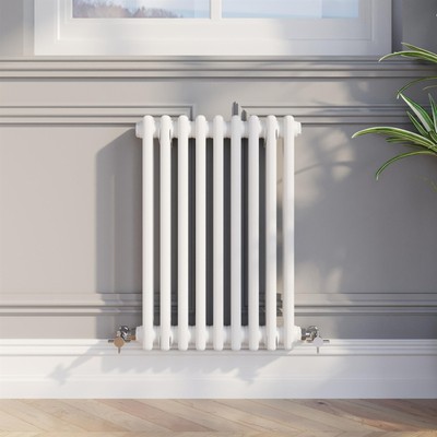 Traditional Colosseum Horizontal Double Bar Column Radiator 600x425mm ...