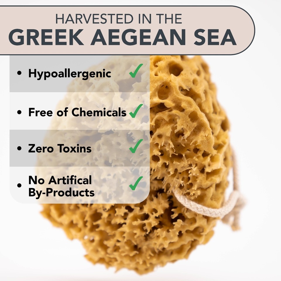 Luxury Natural Sea Sponge for Bath and Shower UK Honeycomb Bath Sea ...