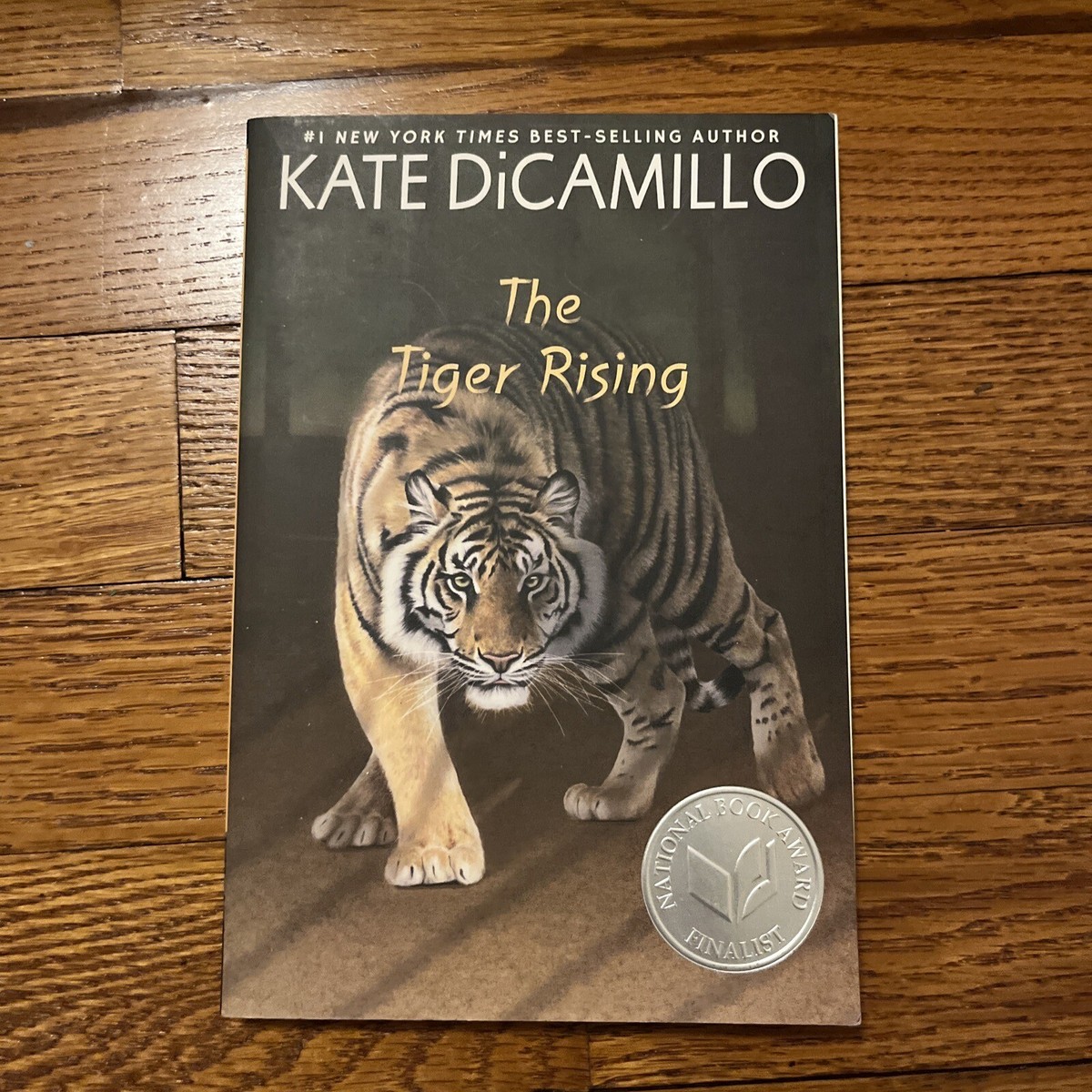 Kate Dicamillo The Tiger Rising 3 Lessons From Tiger Rising The