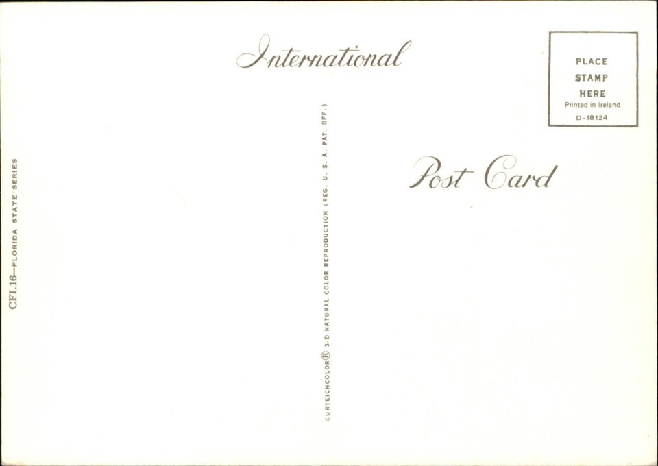 Florida Sunshine State Map two views ~ postcard sku511 | eBay