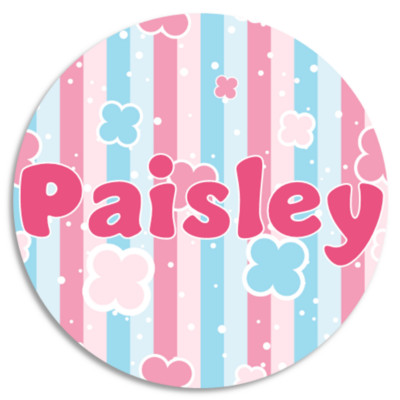 Paisley - 25 Pack Circle Stickers 3 Inch - Name Tag Water Bottle School ...