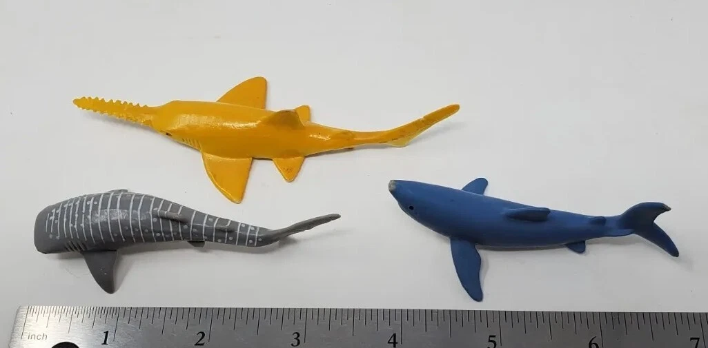 Swordfish Vs Shark