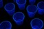 DirectGlow 2oz 50 Count Neon Blue Blacklight Plastic Shot Glasses Glow ...
