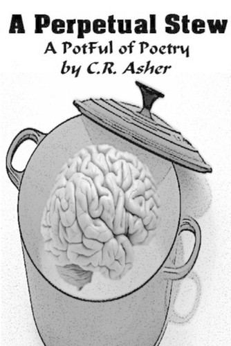 A Perpetual Stew by C.R. Asher (English) Paperback Book 9781312938977 ...