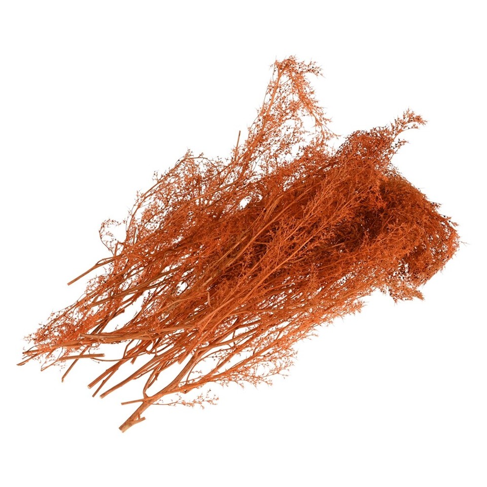Shrubs Model Bushes Long Shrub Vegetation Groups Static Grass Tuft for ...