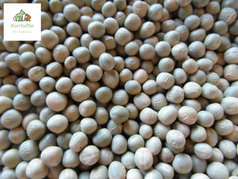 20kg SMALL BLUE PEAS Racing Pigeon Food / Fishing Fish Particle Bait ...