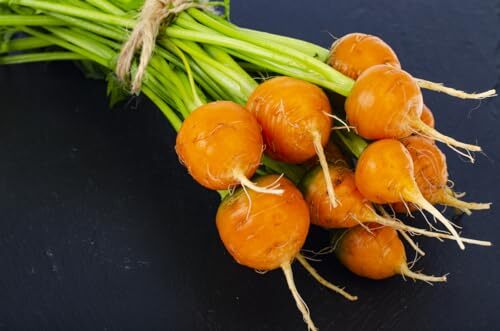 Round Parisian Carrots - A Delicacy Prised by Gourmet Restaurants - 900 ...