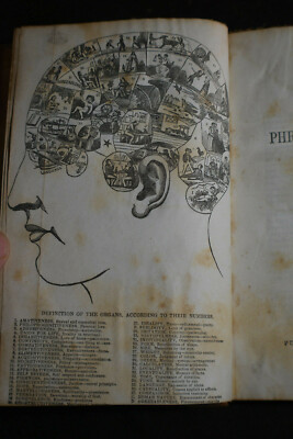 Other - American Phrenology Journal