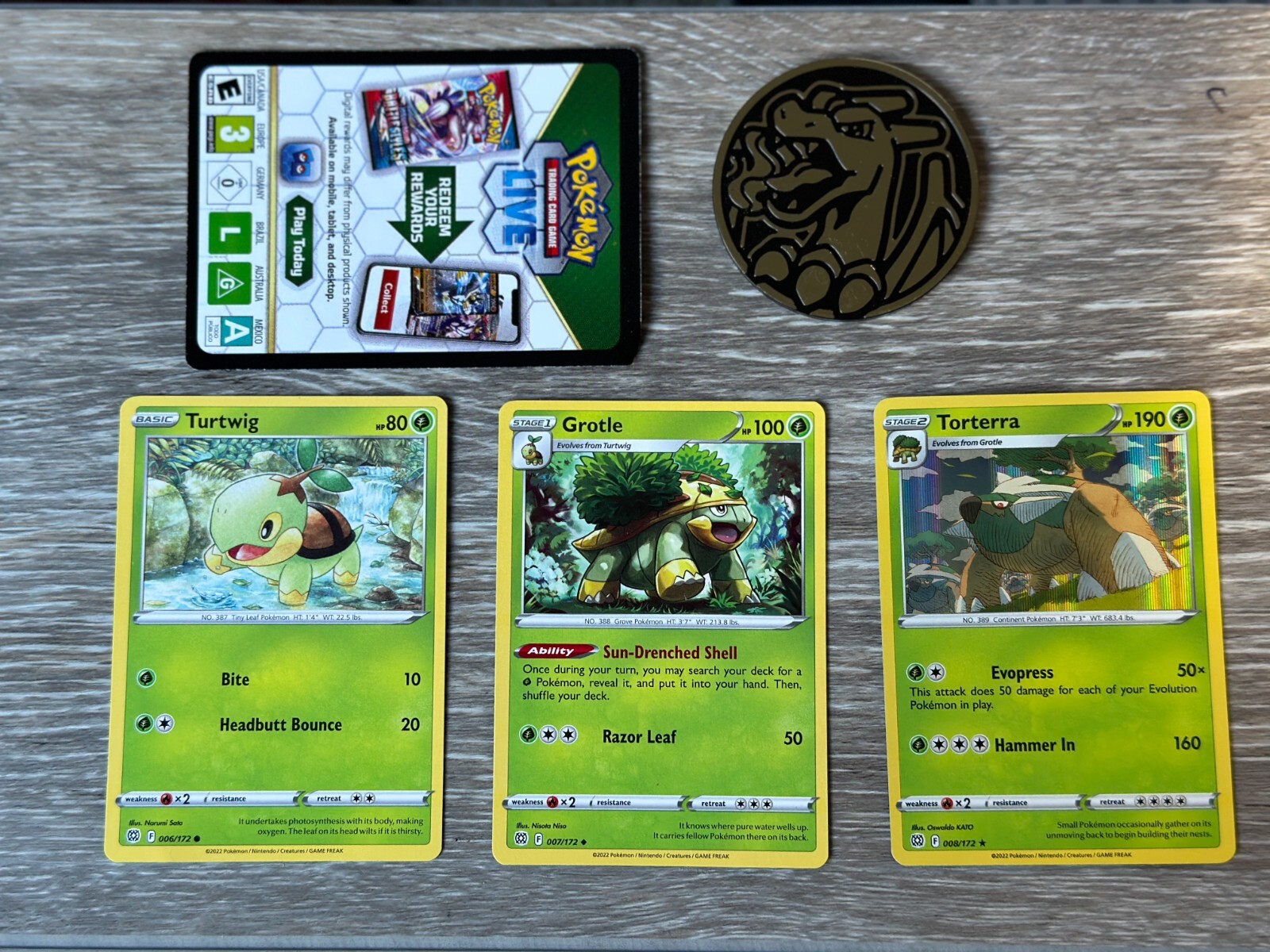 TURTWIG GROTLE TORTERRA Evolutions 3 cards Pokemon SET COIN 2022 ...