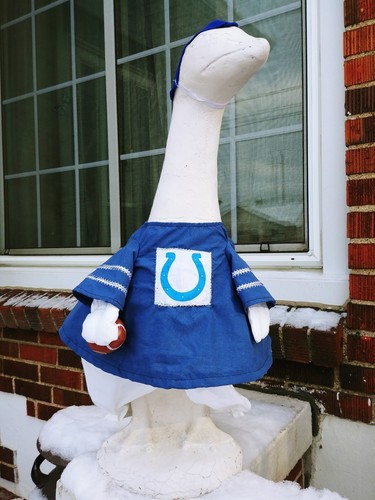 GOOSE CLOTHES 4 LAWN GEESE INDIANAPOLIS COLTS FOOTBALL GARDEN COMBINED ...