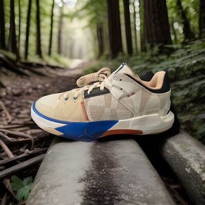 Nike Jordan One Take 5 Q54 - Summit White/Game Royal (HF0016 100) Size ...