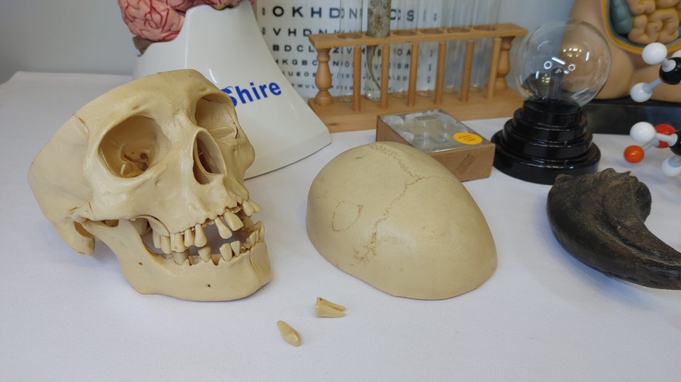 Mad Scientist Laboratory Movie Props Chemistry Man Cave Awesome lot ...