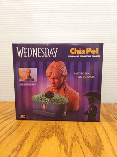 Chia Pet Wednesday with Seed Pack, Decorative Pottery Planter | eBay