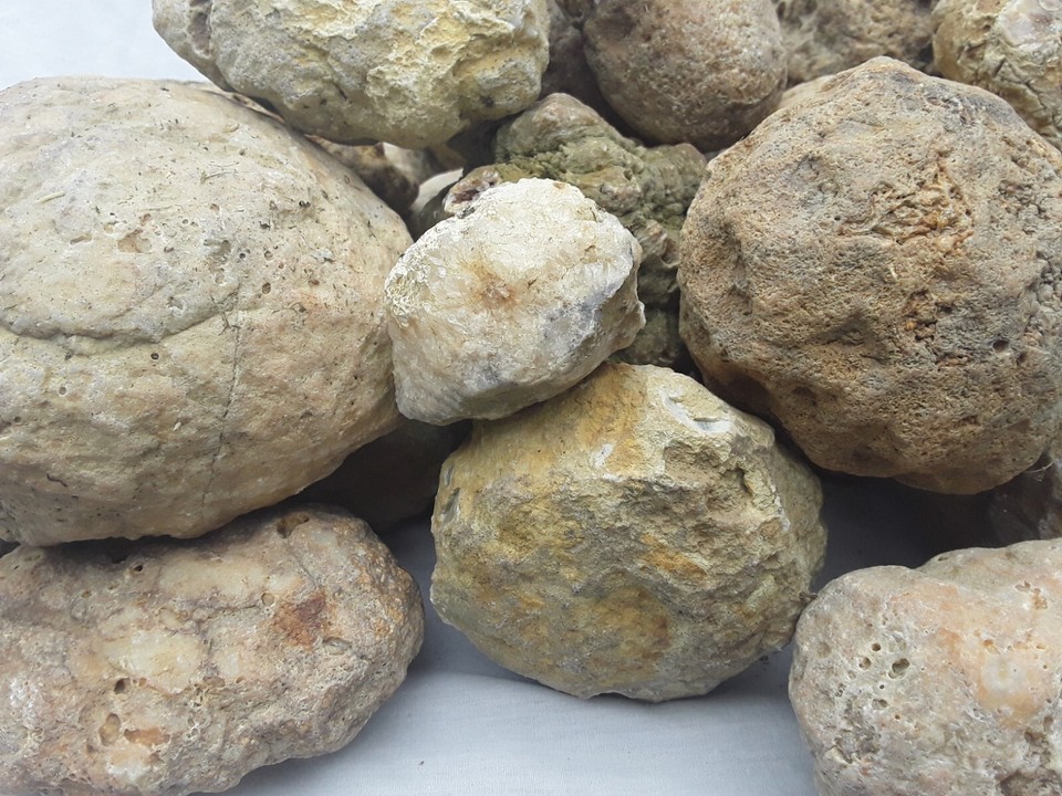 10 lb Bulk Kentucky Geodes – Natural Raw Unopened Crystals | Hollow ...