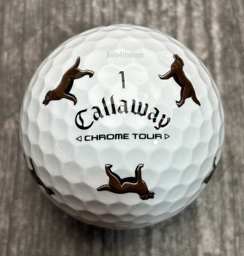 Callaway Chrome Tour Truvis Let The Big Dog Eat Chocolate Lab Golf ...