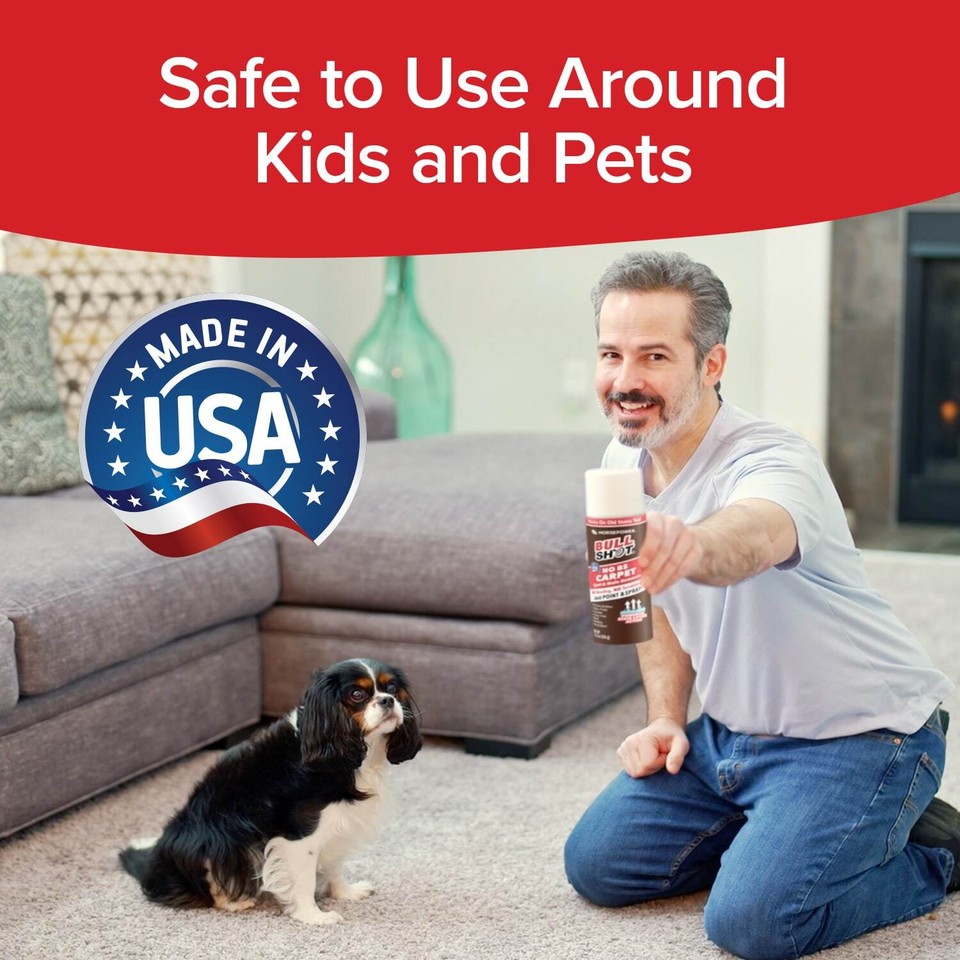 Horsepower Bull Shot No BS Carpet Stain Remover, Extra Strength, AS ...