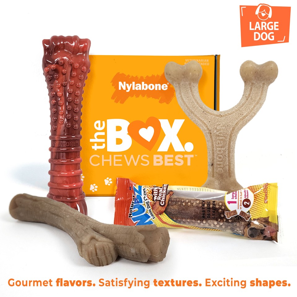 Nylabone Box - Chewing Toys and Hospitality Dog Gift Box (4 pieces) | eBay