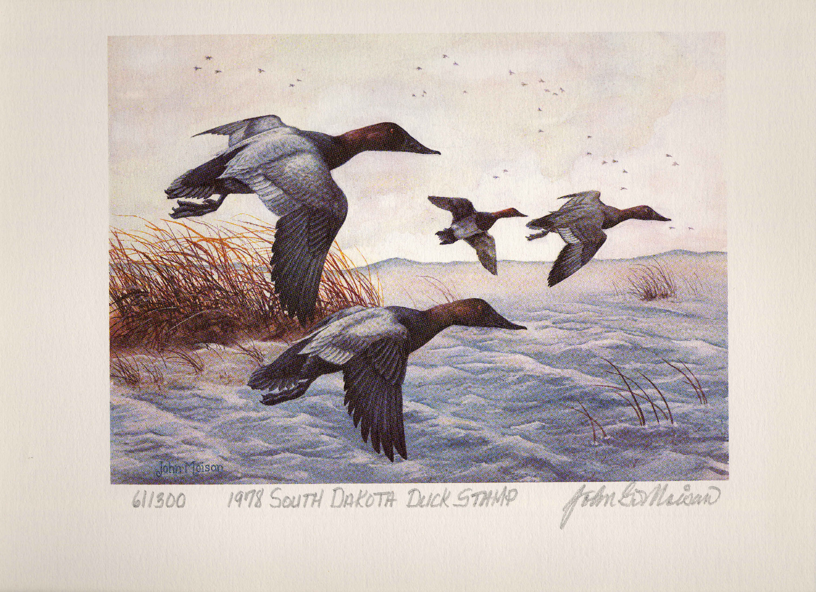 SOUTH DAKOTA #3 1978 DUCK STAMP PRINT CANVASBACKS by John Moisan #299/ ...