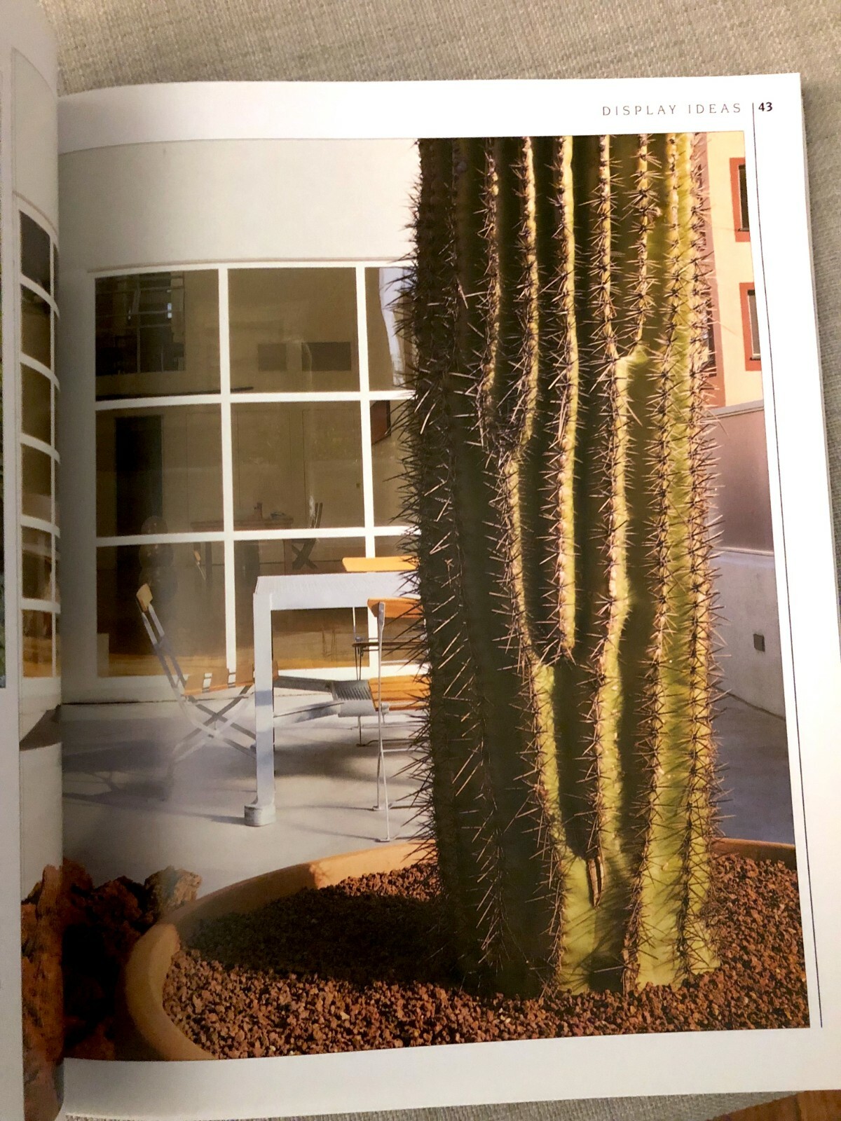 The Complete Book of Cacti & Succulents Terry Hewitt 9780789416575| eBay