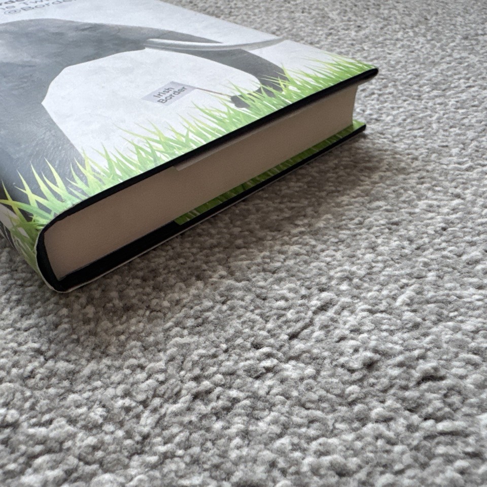I Am the Border, So I Am by @BorderIrish (Hardcover, 2019) | eBay UK