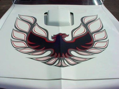 1973 - 1978 TRANS AM COMPLETE DECAL KIT RED & CHARCOAL W/ ONE PIECE ...