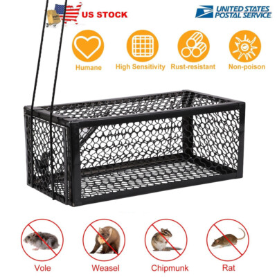USA Mouse Trap Rat Trap Rodent Trap Live Catch Cage Easy to Set Up and ...